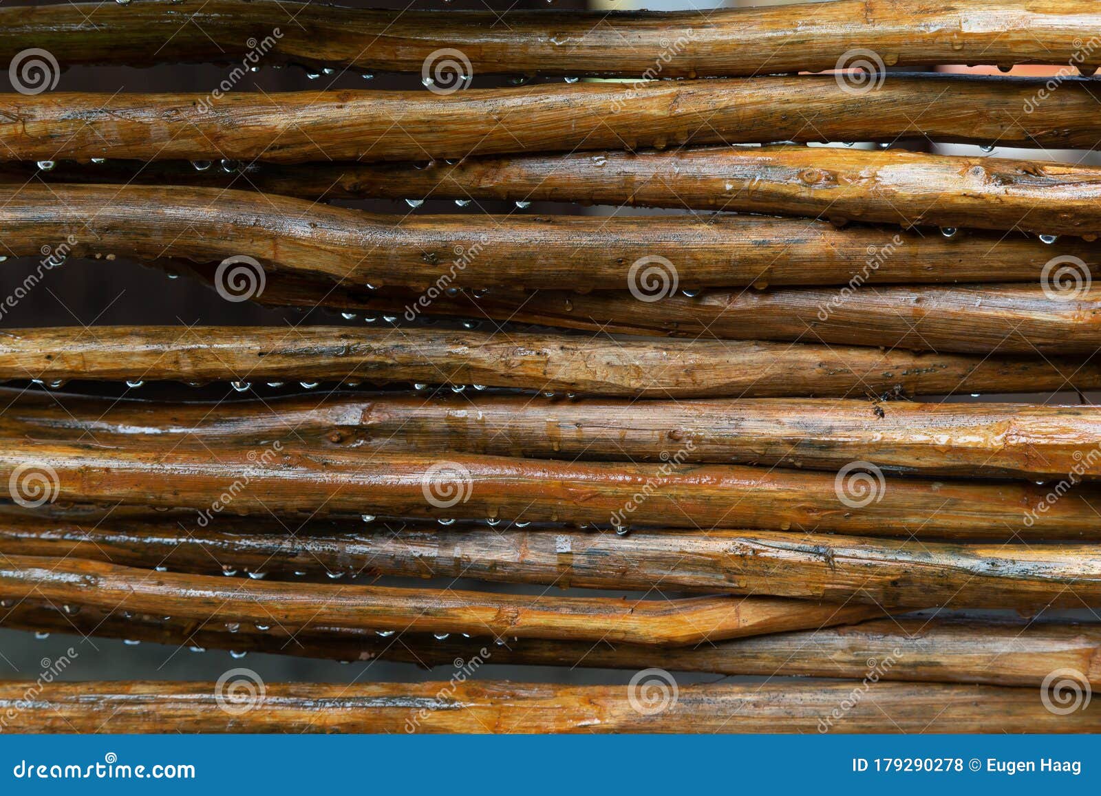 Background from a Wooden Mesh or Wood Stock Photo - Image of plant ...