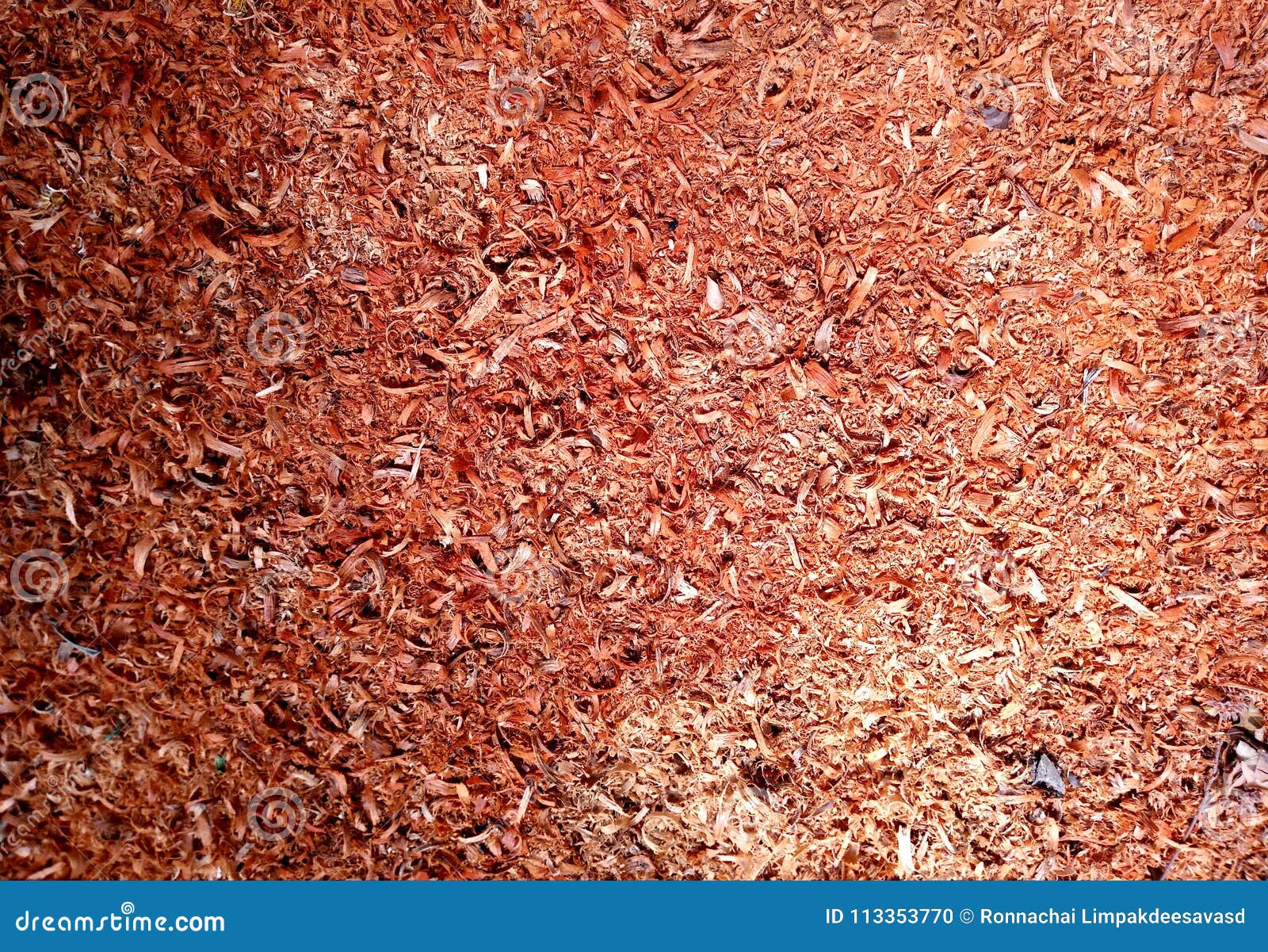 Background of Wooden Surface Made of the Ash-tree Plank Stock Photo ...