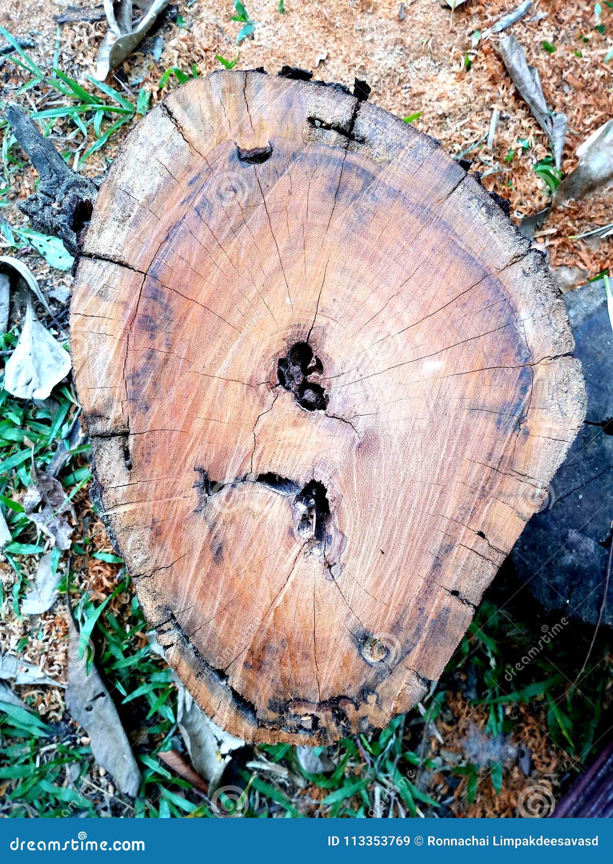 Background of Wooden Surface Made of the Ash-tree Plank Stock Image ...