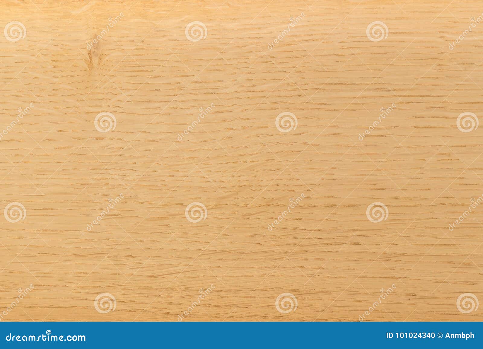 Background of the Light-colored Oak Plank Stock Photo - Image of ...