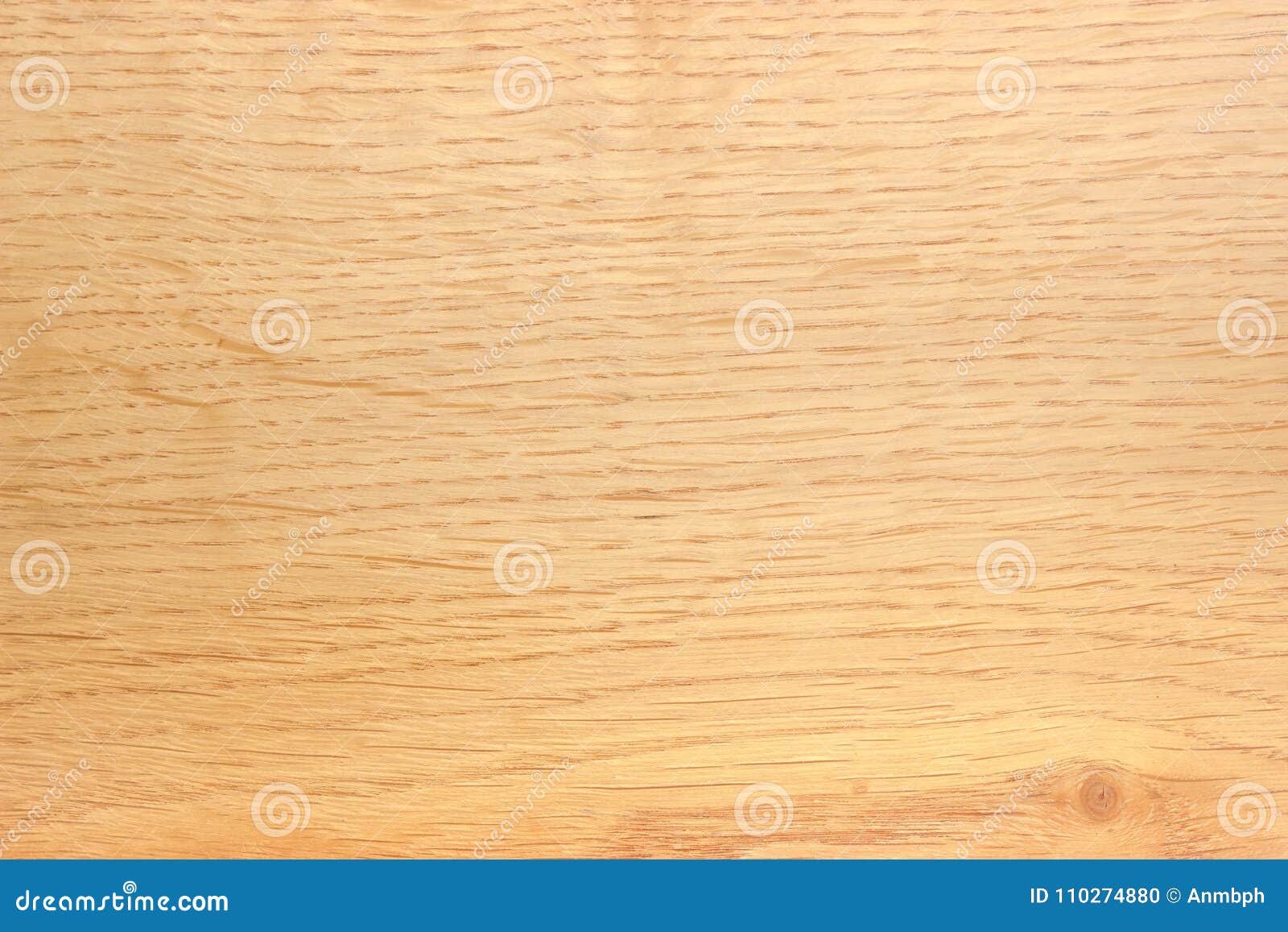 Background of the Light-colored Oak Plank Stock Photo - Image of plant ...