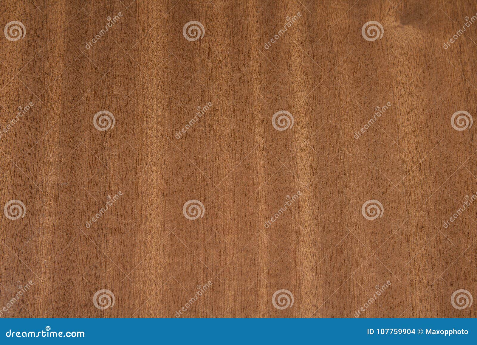 Background of a Wooden Table Surface with Fine Texture Stock Photo ...