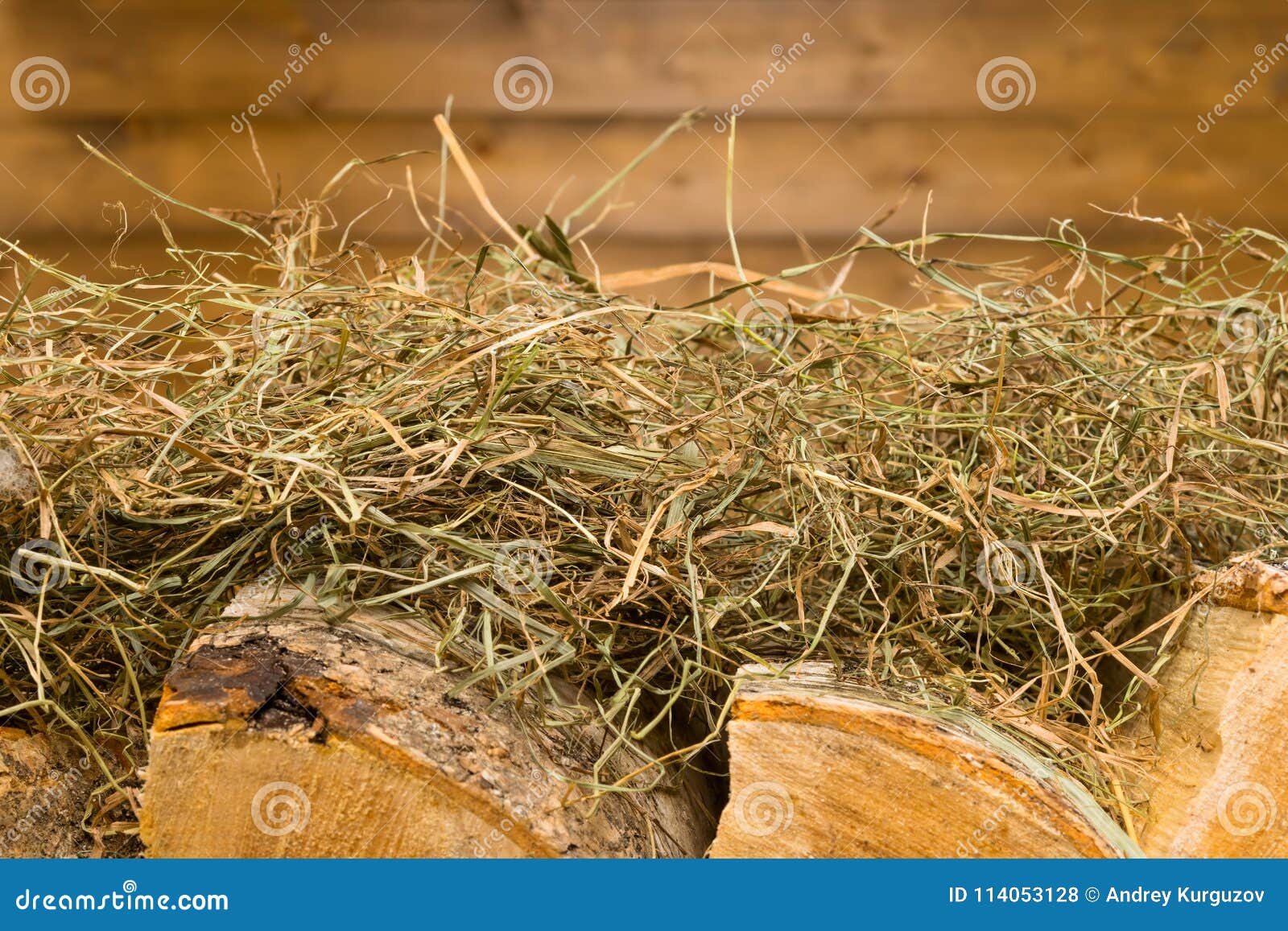 Background with a Wooden Wall with Firewood Lying on a Hay Stock Photo ...