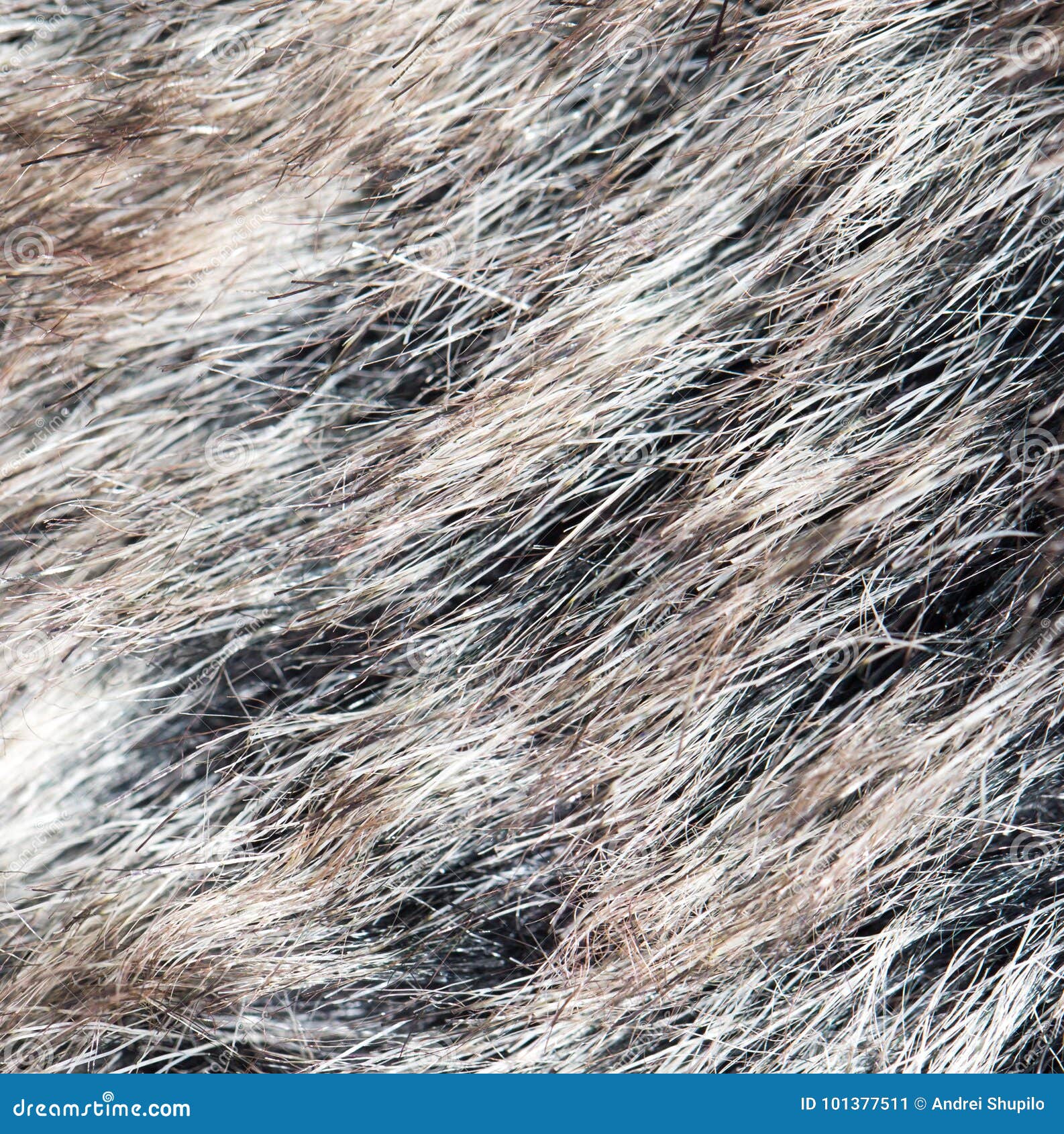 Background of wool stock image. Image of pattern, gray - 101377511