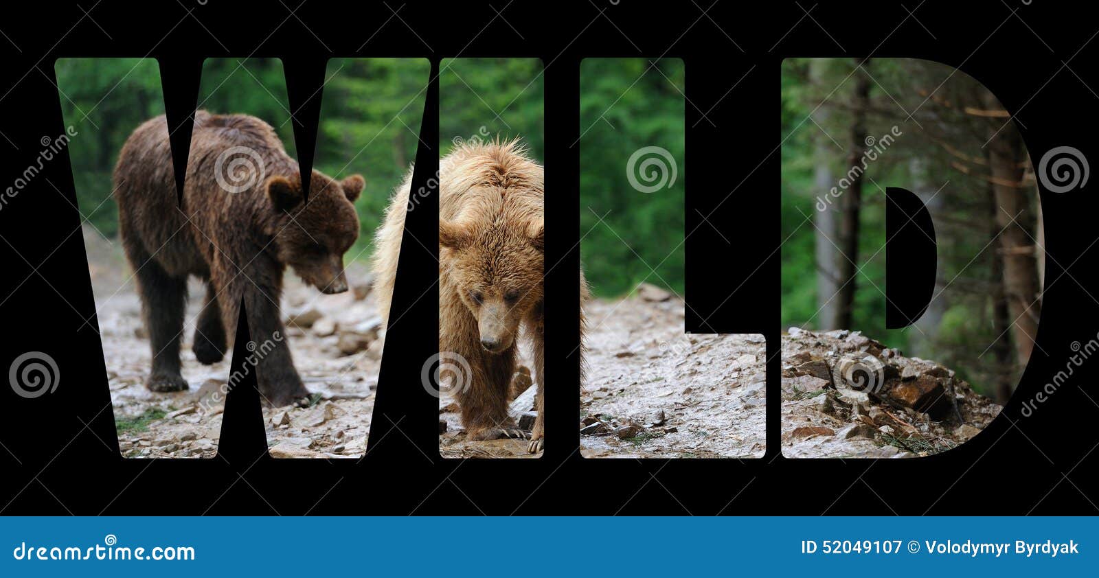Background with word stock image. Image of animal, wild - 52049107
