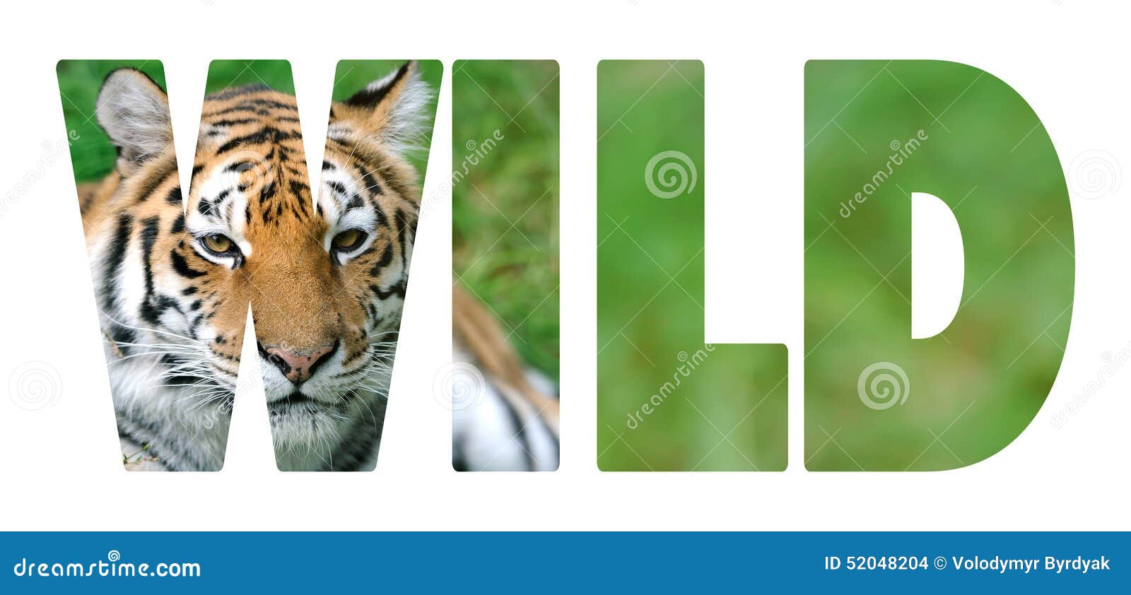 Background with word stock photo. Image of beauty, danger - 52048204