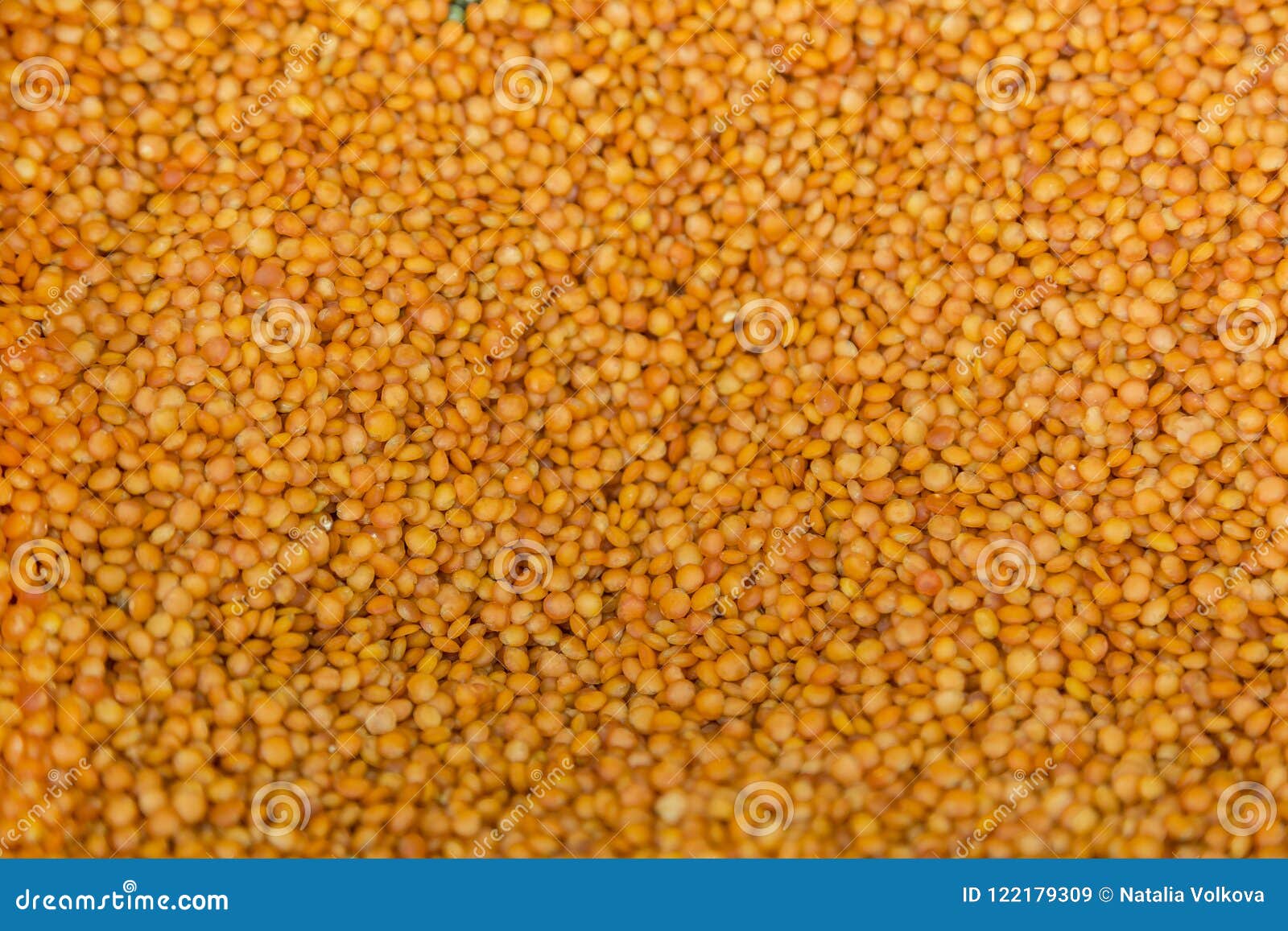 Background of Yellow Lentil Grains. Stock Image - Image of vitamins ...