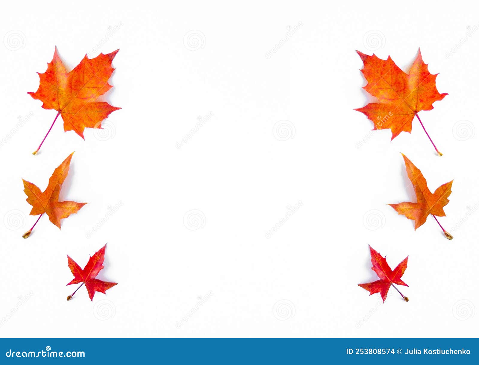 Background of Yellow Maple Leaves with Space for Text on a White ...