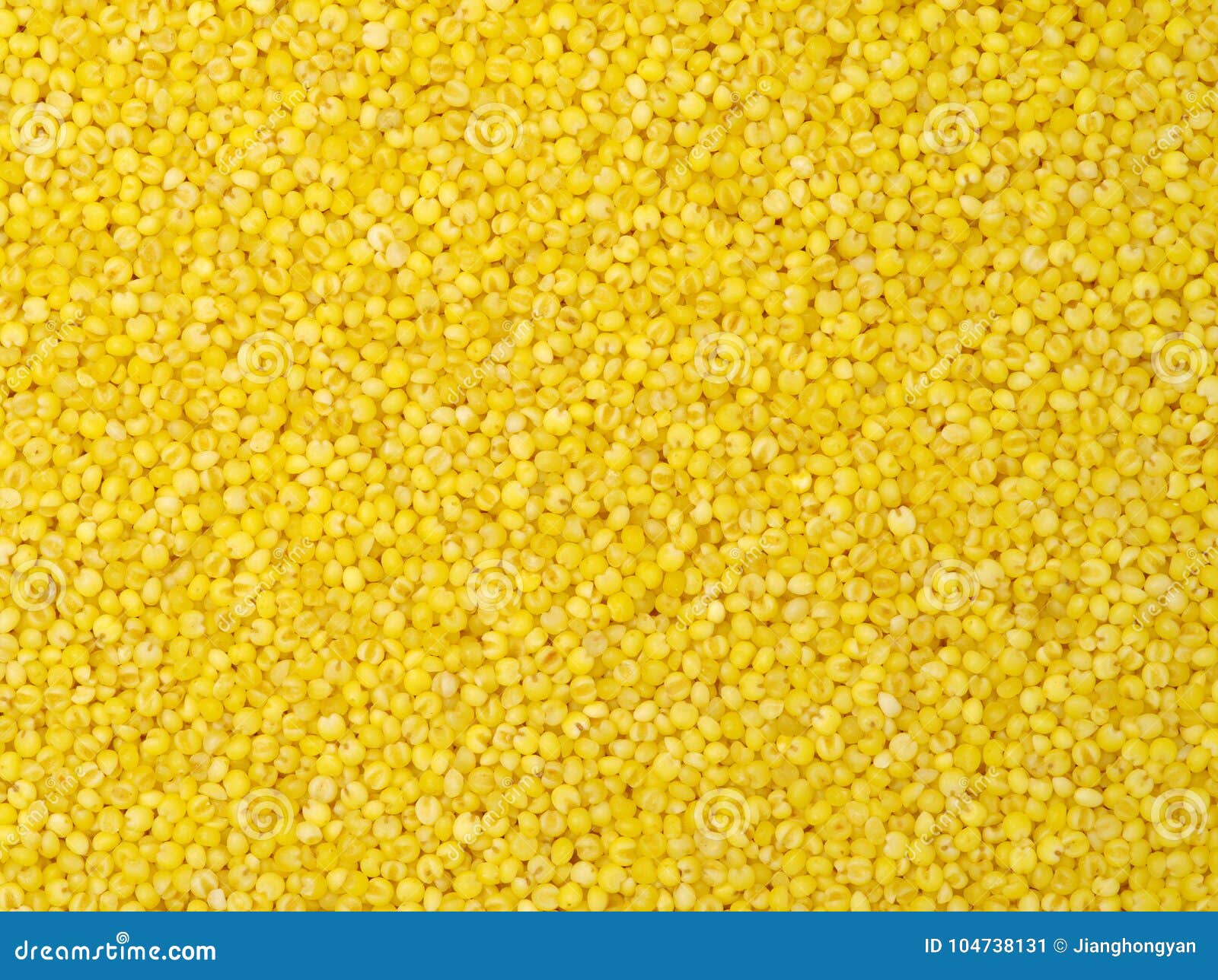 Yellow millet stock image. Image of eating, crop, yellow - 104738131