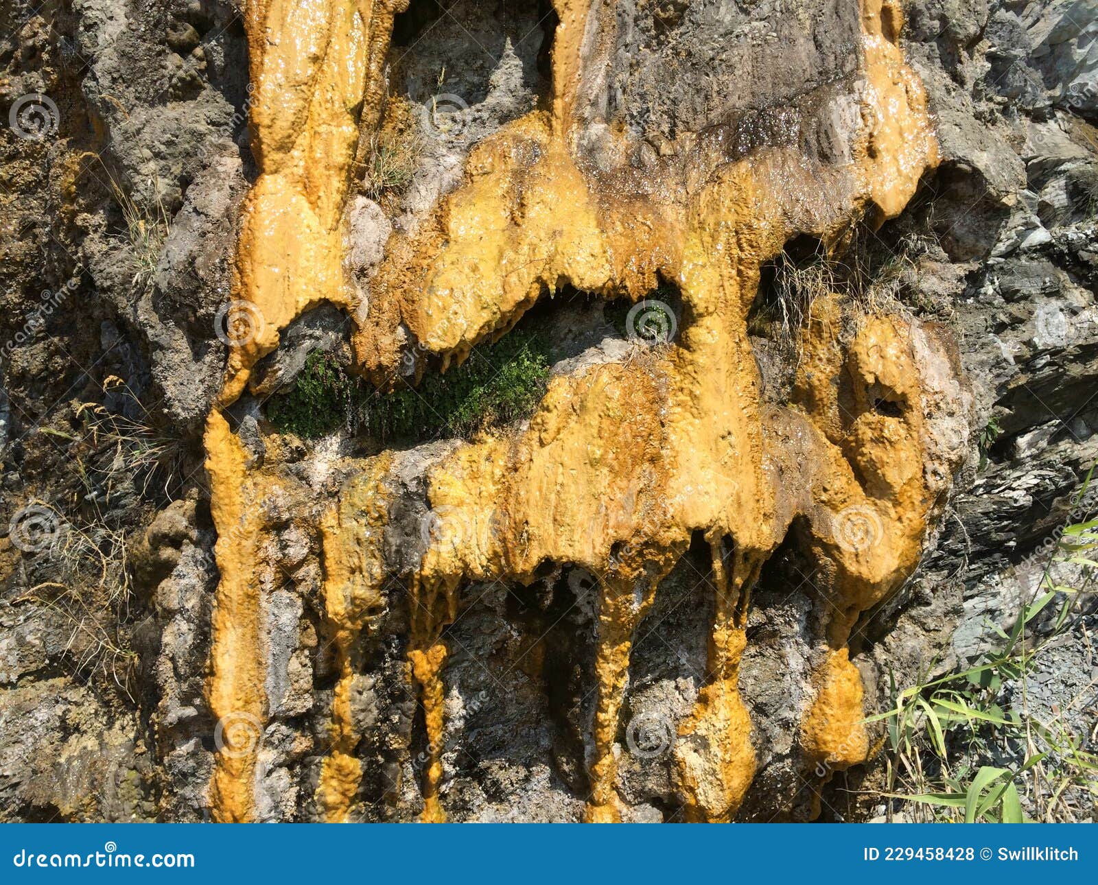 Background with Yellow Mold on the Mountain or Rock Stock Photo - Image ...