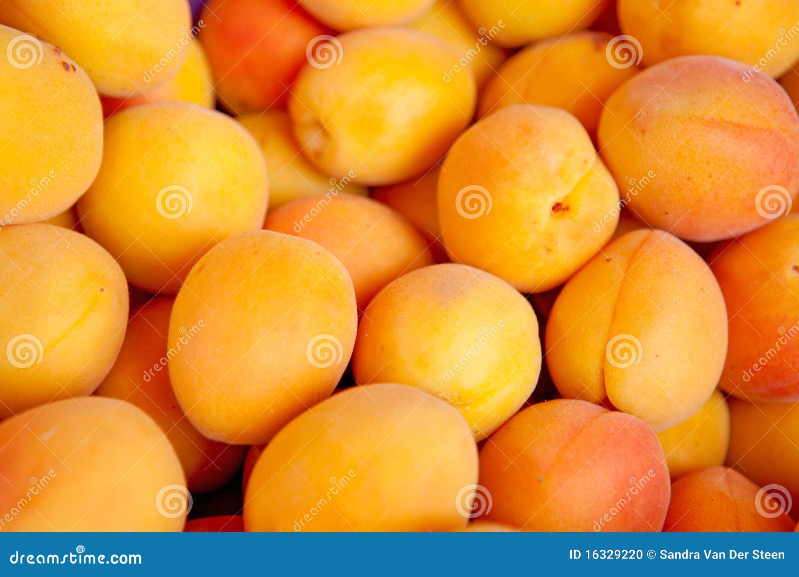 Background of Yellow Peaches Stock Photo - Image of peaches, round ...