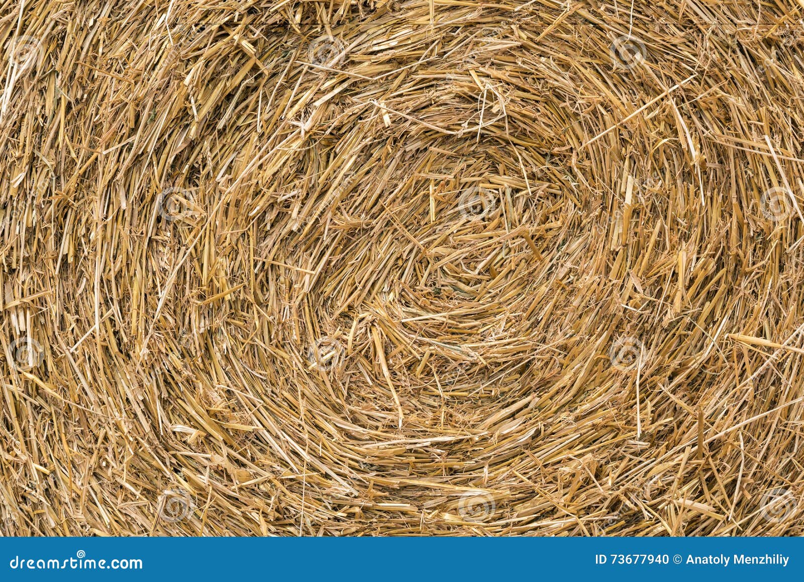 Background of Yellow Straw Roll Texture. Stock Photo - Image of ...