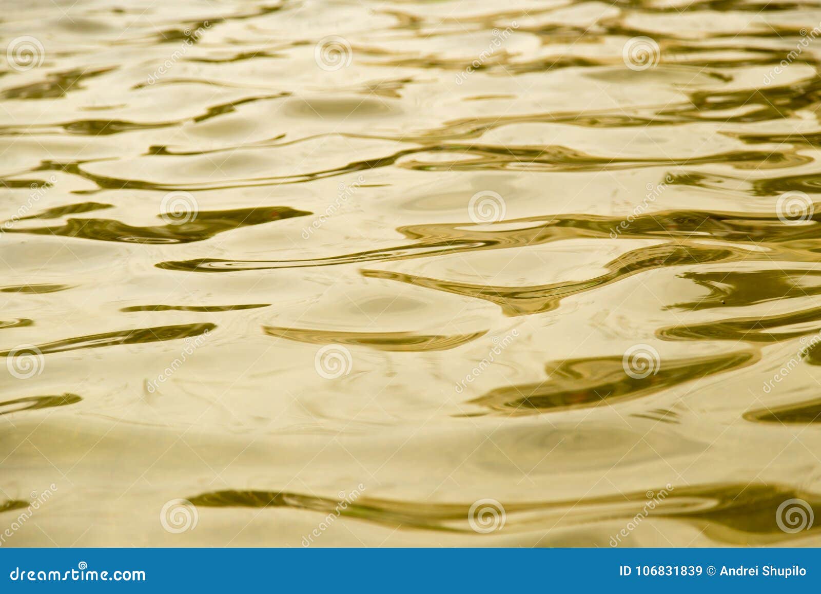 Background of Yellow Surface of the Water Stock Image - Image of lake ...