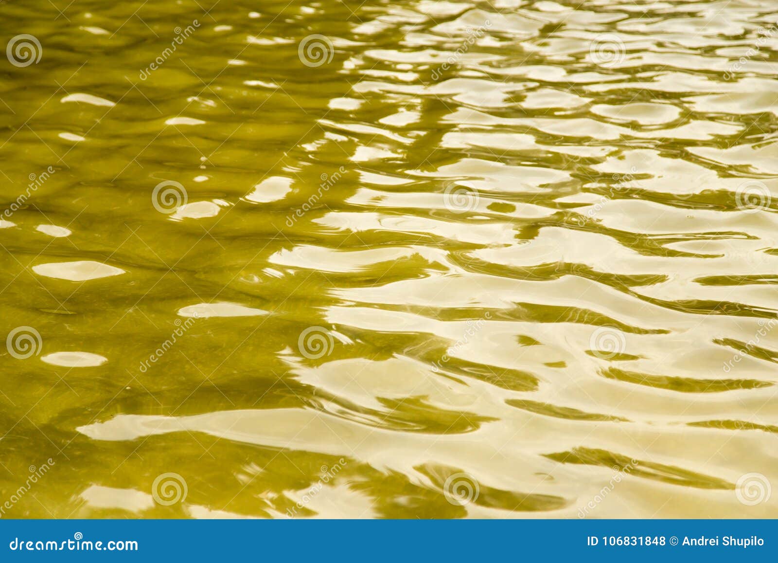 Background of Yellow Surface of the Water Stock Photo - Image of calm ...