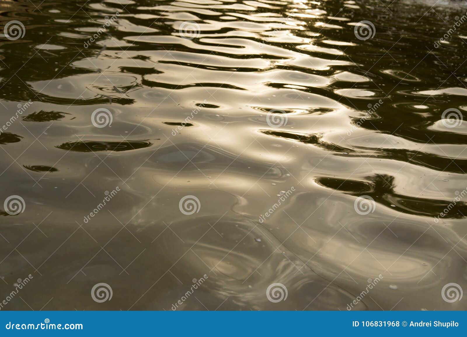 Background of Yellow Surface of the Water Stock Photo - Image of light ...