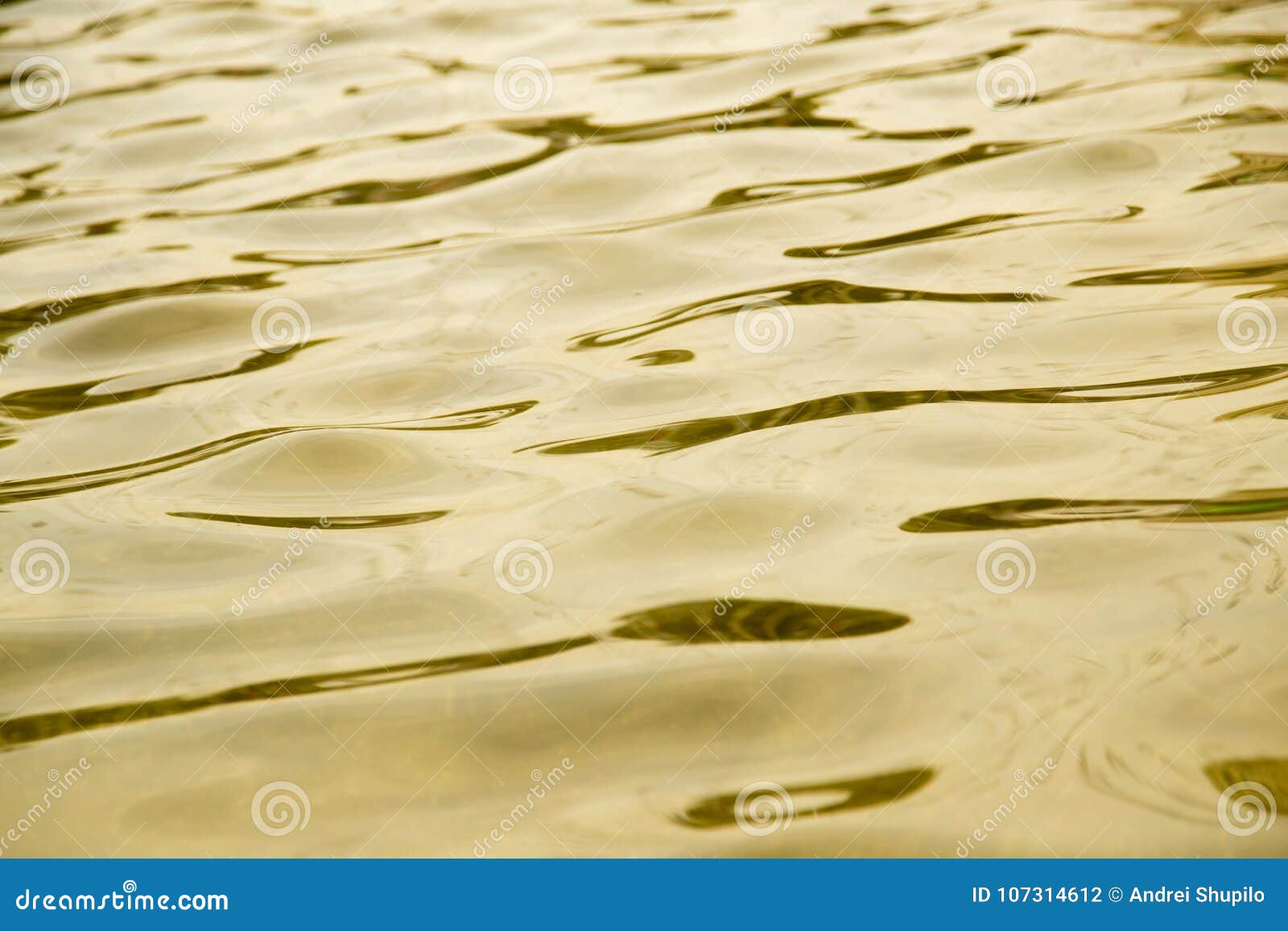 Background of Yellow Surface of the Water Stock Photo - Image of ...