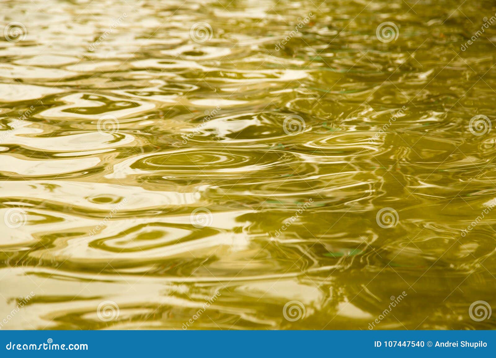 Background of Yellow Surface of the Water Stock Photo - Image of ...