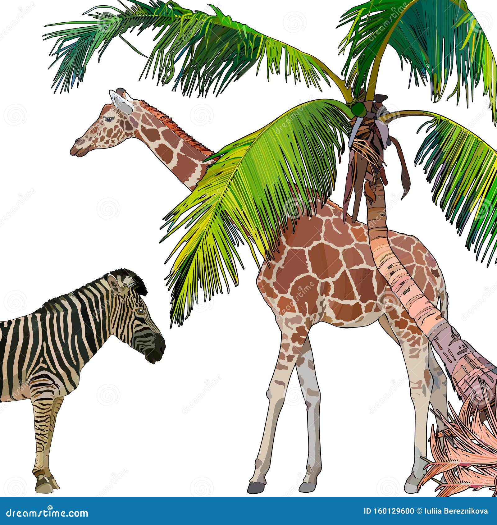 Background with Zebra, Giraffe and Palm Tree Stock Vector ...