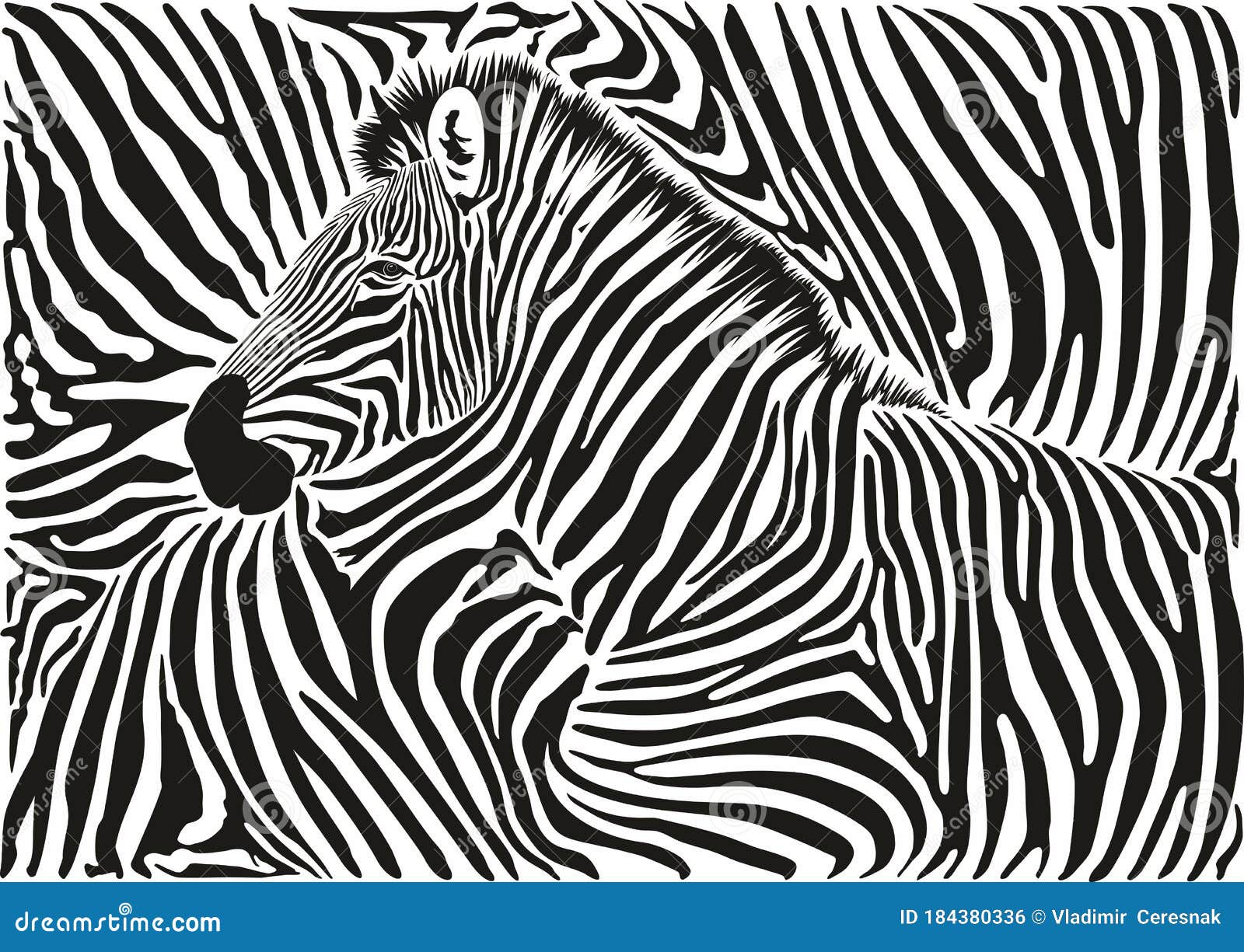 Background with a Zebra Motif Stock Vector - Illustration of savannah ...
