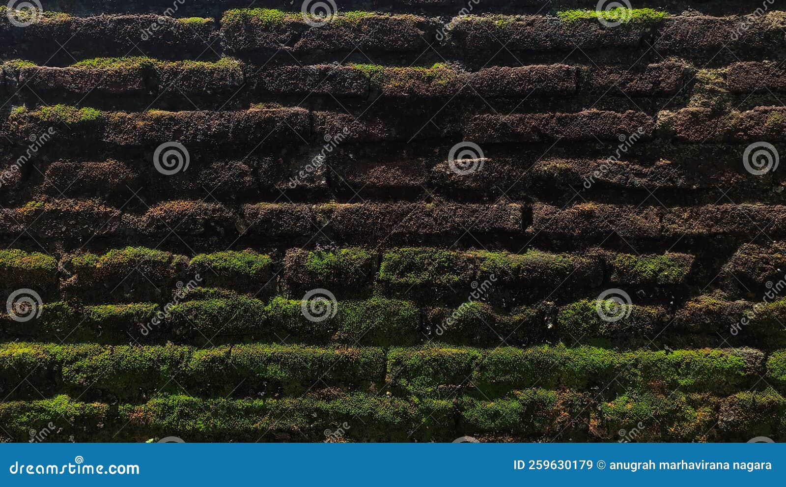 Backgrounds of Mossy Old Wall Stock Image - Image of texture, graphic ...