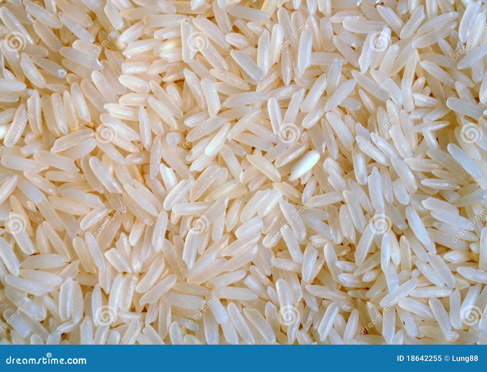 Backgrounds-Rice stock image. Image of agriculture, thai - 18642255