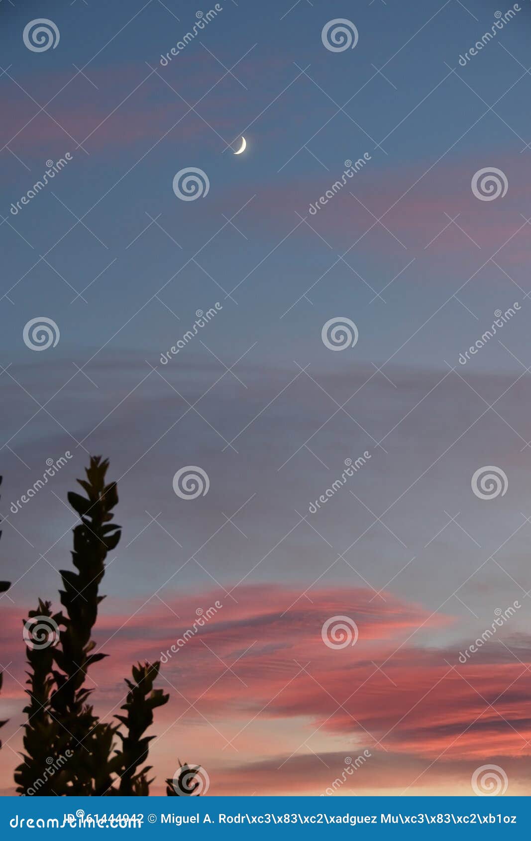 Backgrounds with Sunset Clouds and the Moon Stock Photo - Image of ...