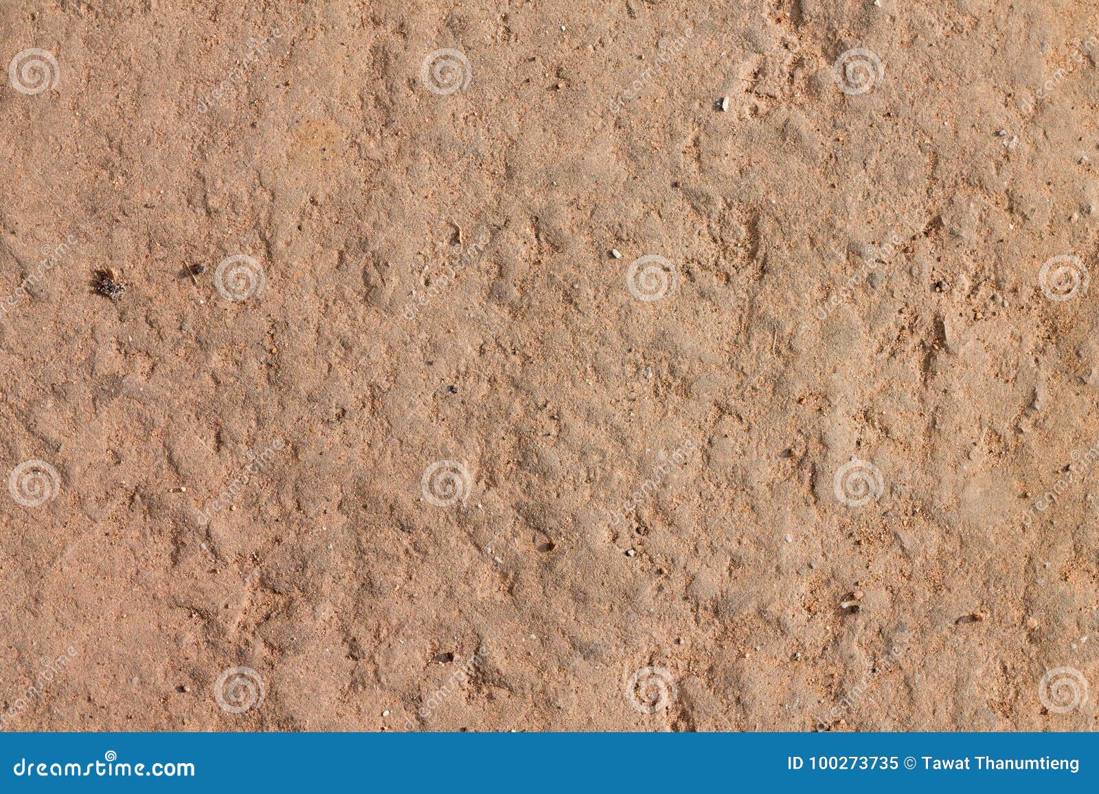 Surface Texture on Natural Ground Stock Image - Image of close ...