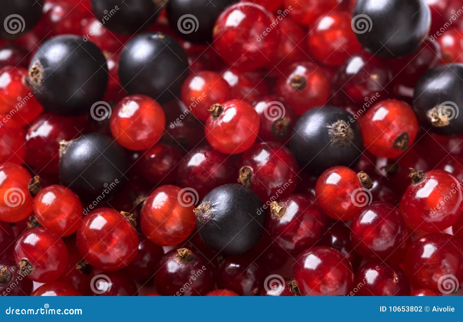 Backgroung De Groseille Rouge Et De Cassis Photo stock - Image du ...