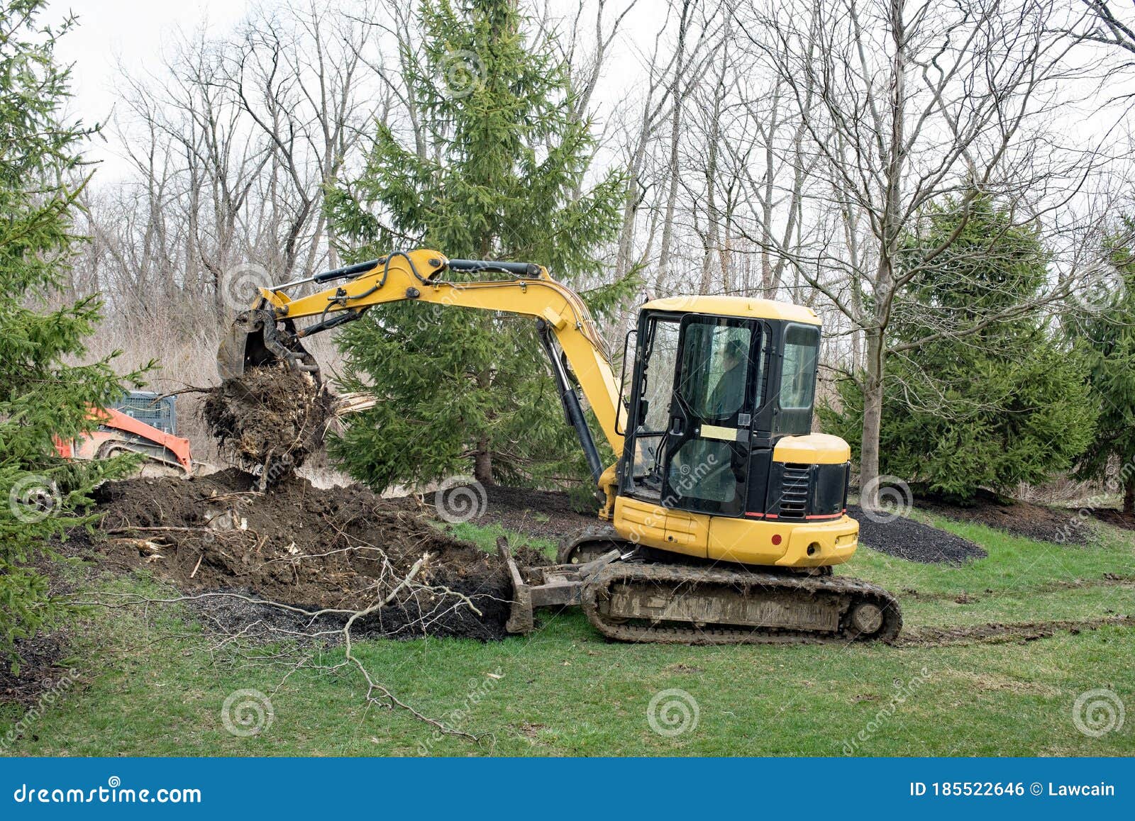 Backhoe Picking Up Tree Stump Stock Photo - Image of nature, bucket ...