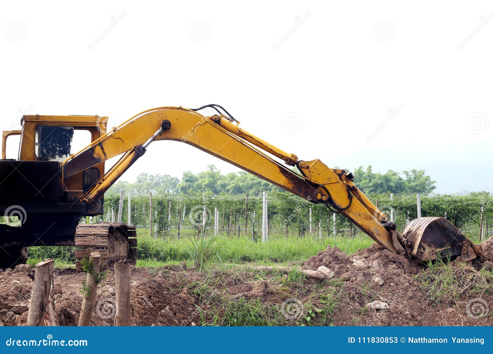 Backhoe Was Digging a Pit in the Ground. Crawler Excavator Truck Stock ...