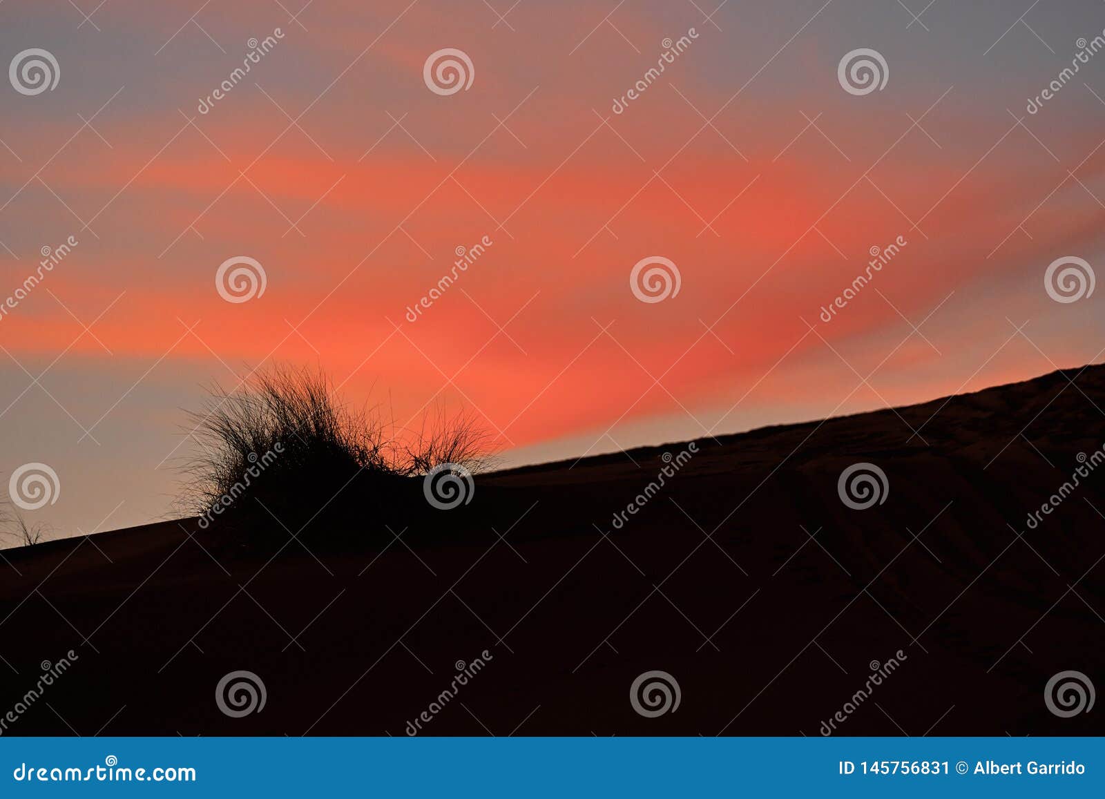 Backlight in the Desert, at Sunset Stock Image - Image of beautiful ...