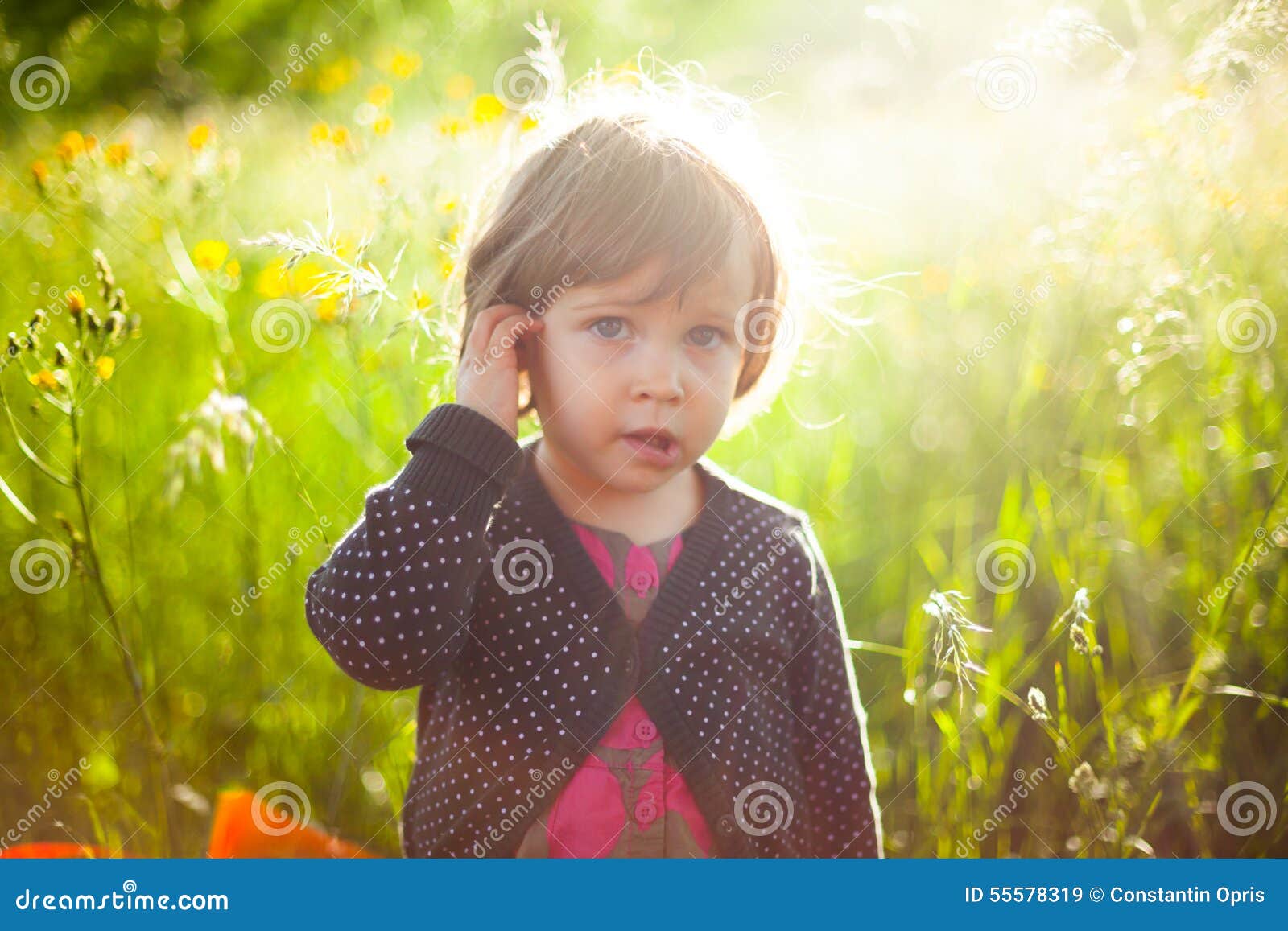 Backlight girl portrait stock image. Image of walk, looking - 55578319