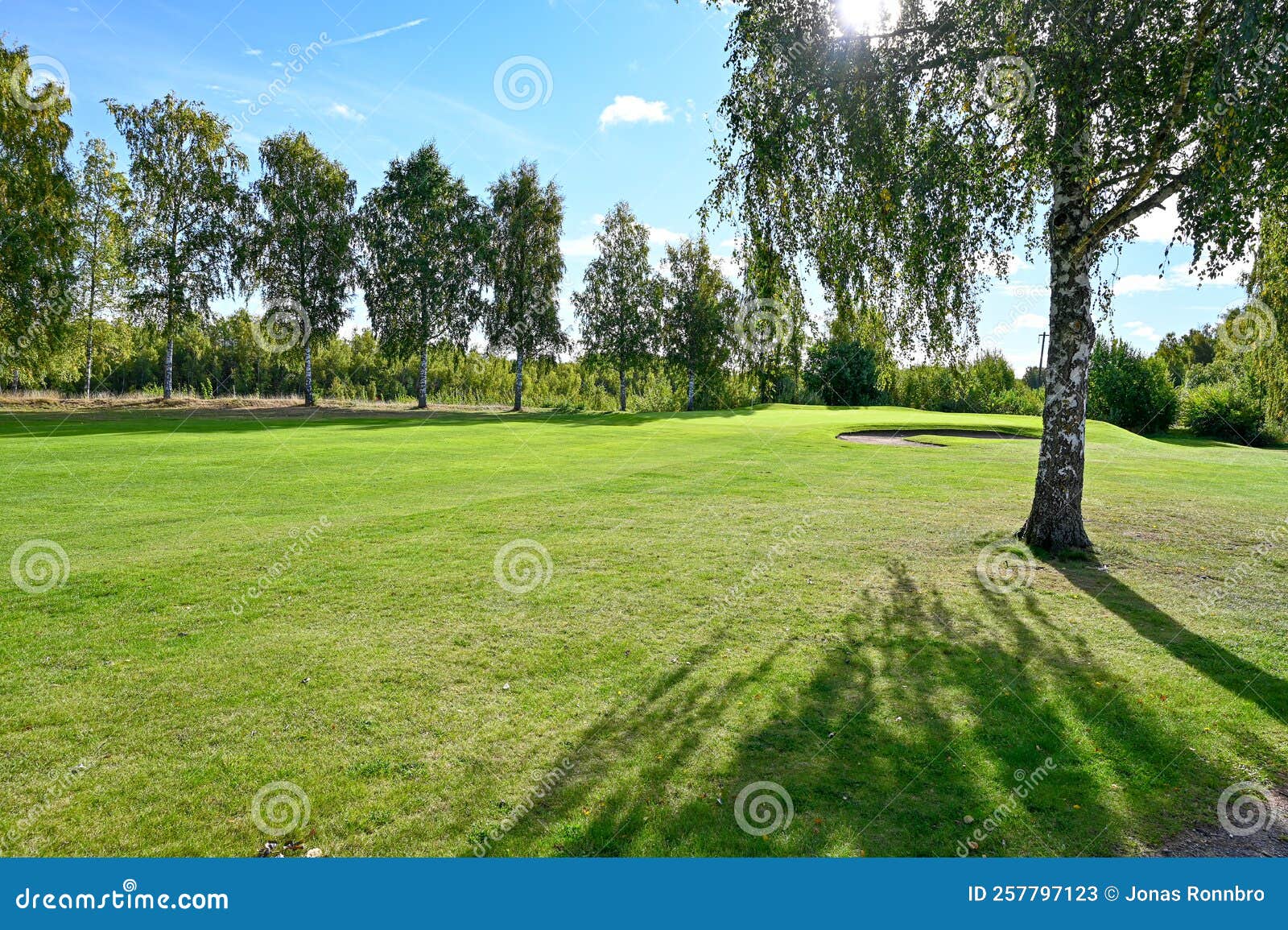 Backlight Over Green and Fairway on Kumla Golf Course Stock Image ...