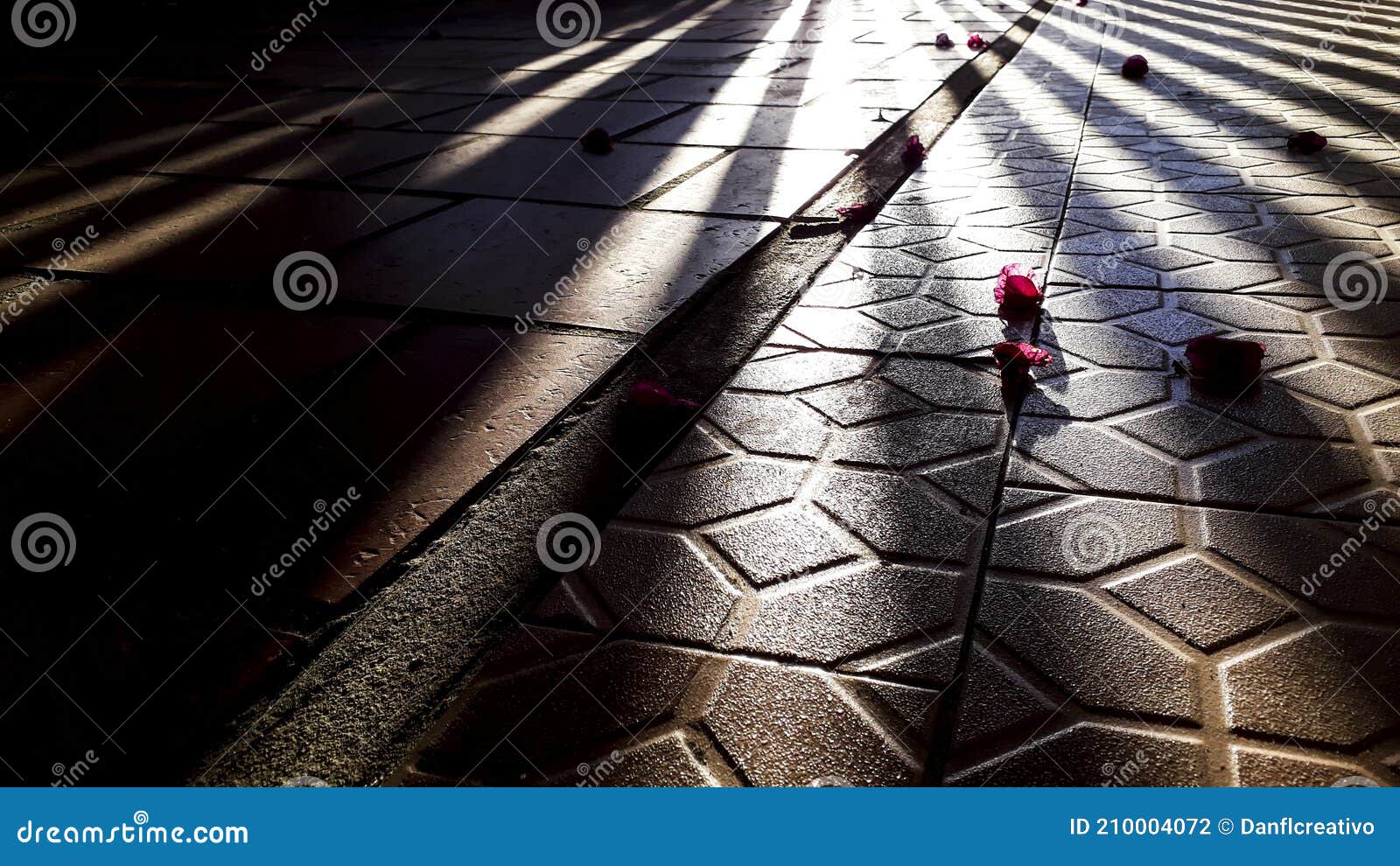 Backlight Pattern Over Floor Stock Photo - Image of home, floor: 210004072