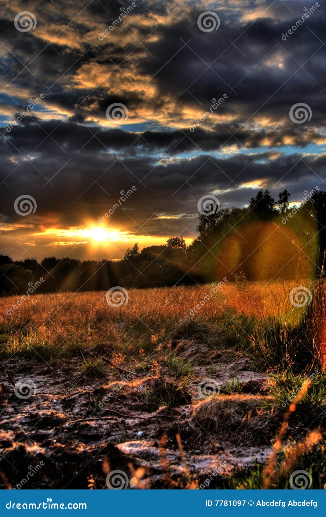 Backlight sunset stock image. Image of heath, flare, clouds - 7781097
