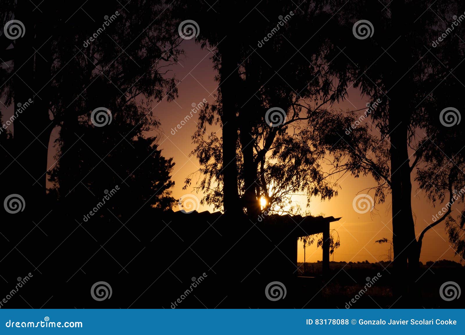 Backlight sunset stock photo. Image of sunset, beautiful - 83178088