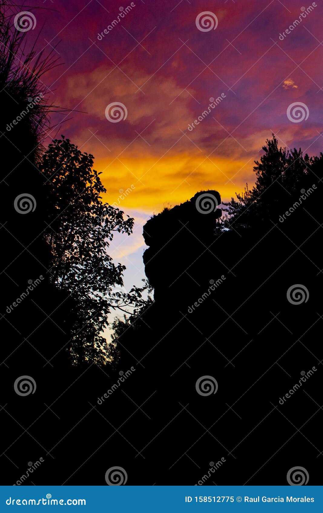 Backlight at sunset stock image. Image of summer, small - 158512775