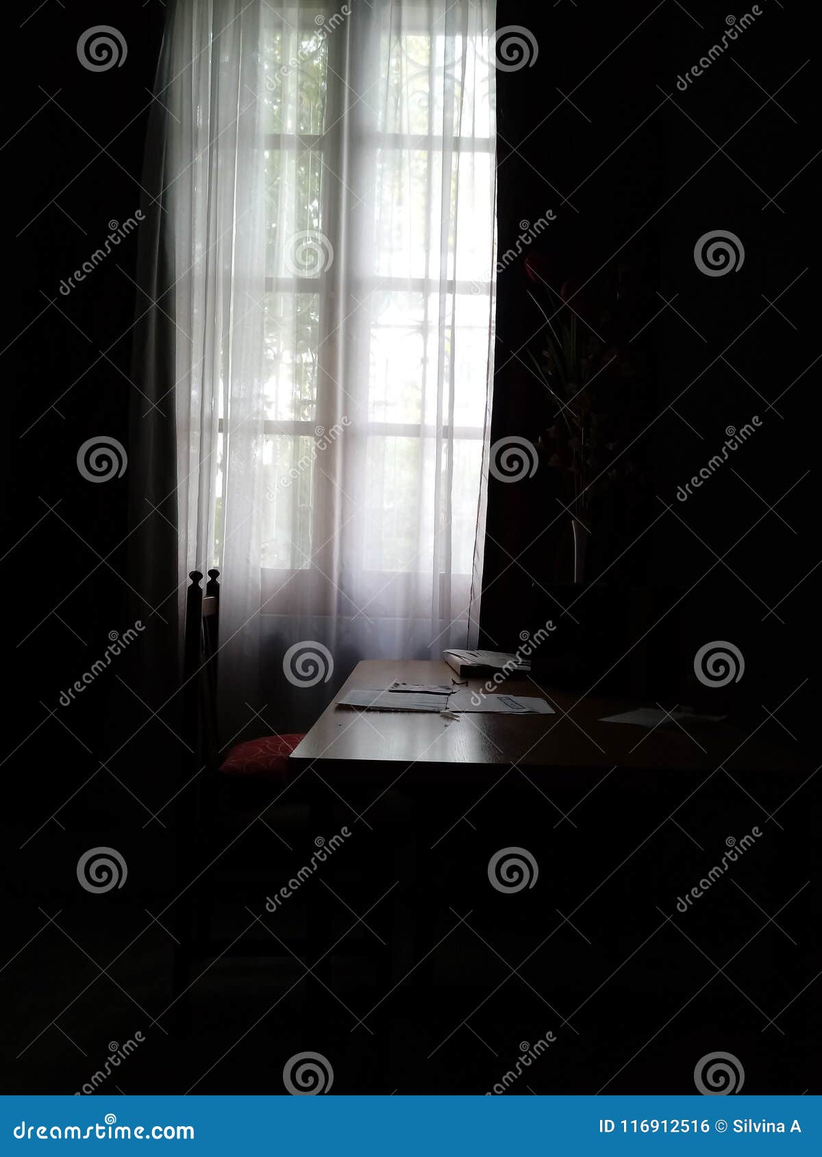 Backlight windows stock photo. Image of windows, light - 116912516