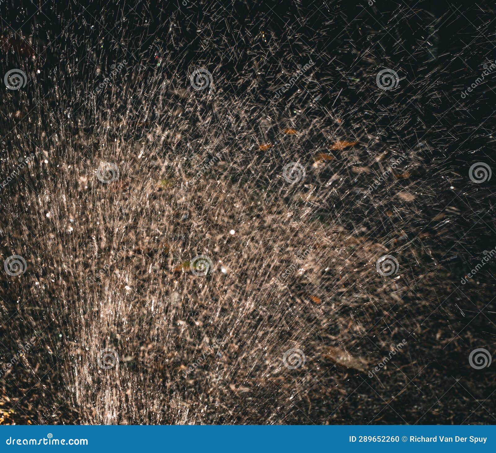 Backlighting on Water Spray in the Air Stock Photo - Image of ...