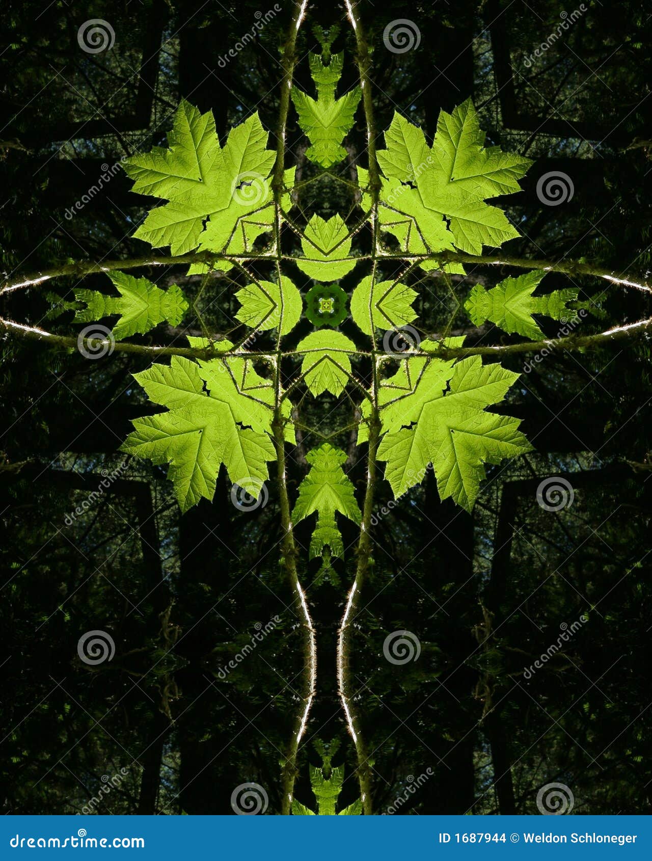 Backlit green leaves cross stock photo. Image of symbol - 1687944