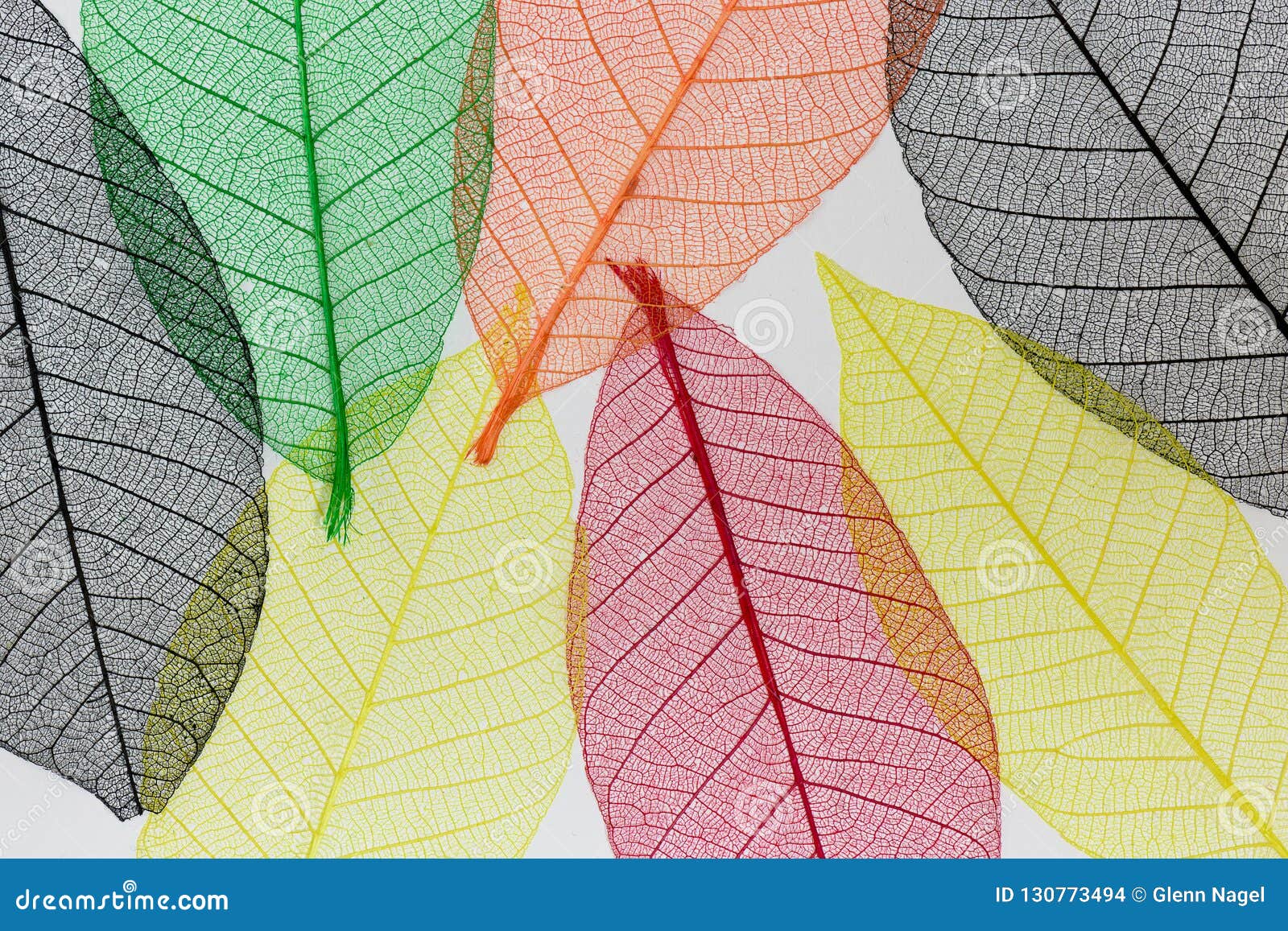 Overlapping Leaves Texture Stock Image | CartoonDealer.com #49581523