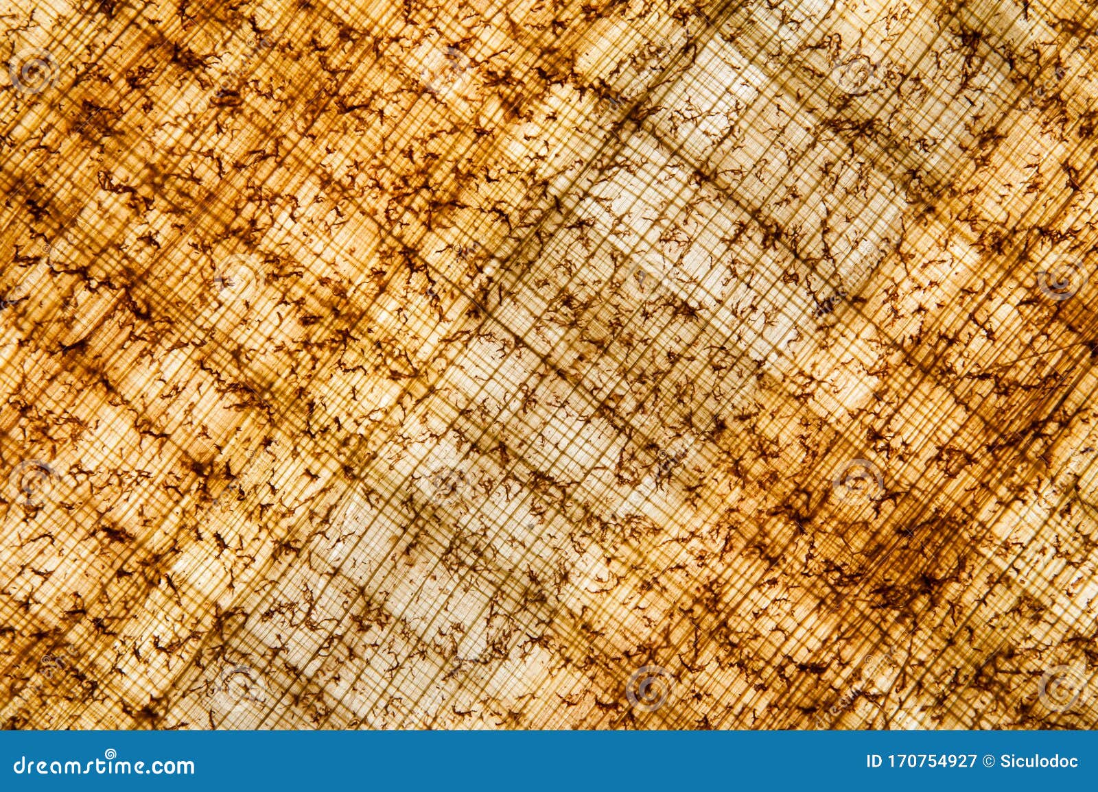 Backlit papyrus sheet stock image. Image of background - 170754927