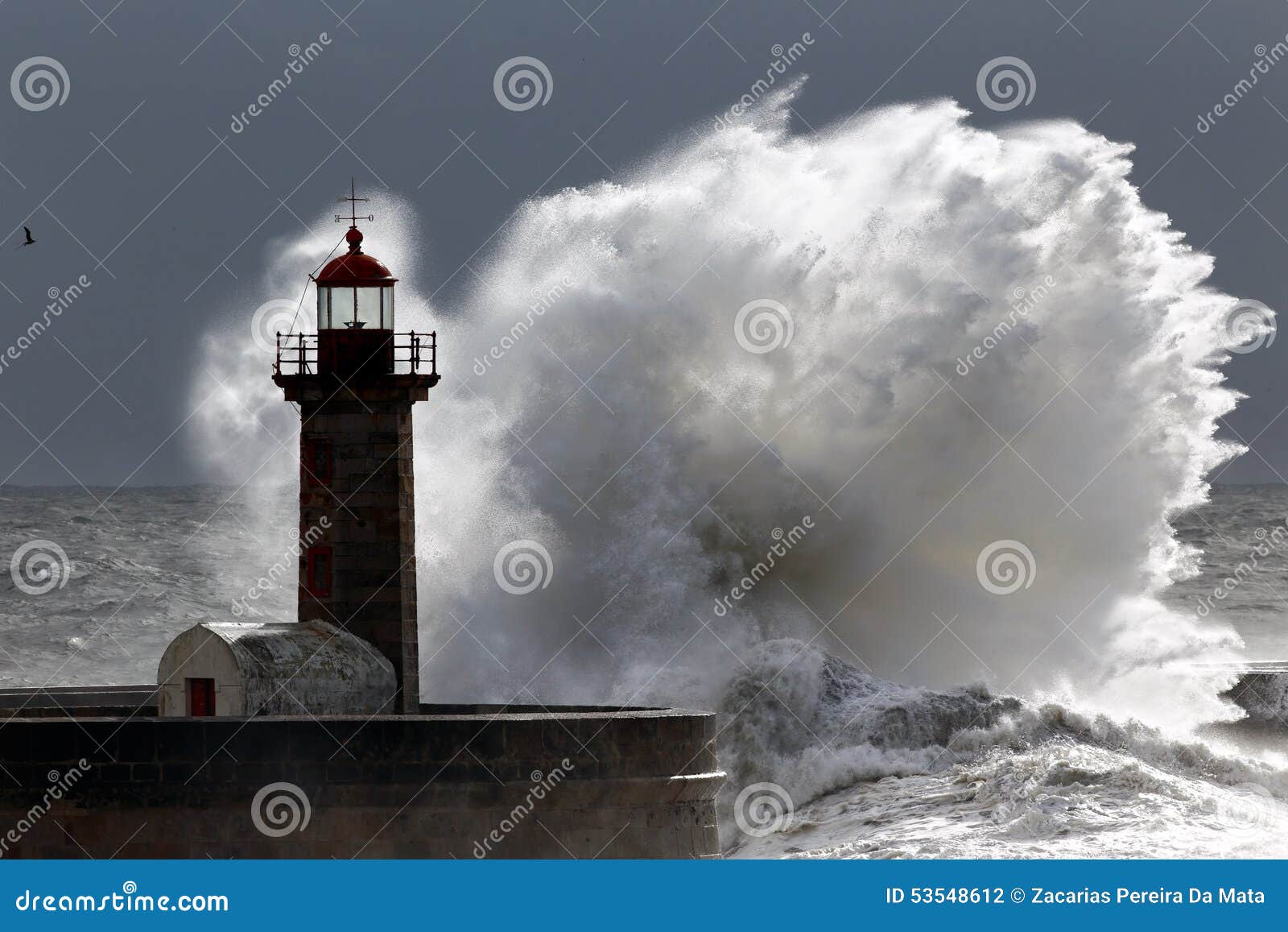 Backlit stormy wave stock photo. Image of outdoor, flow - 53548612