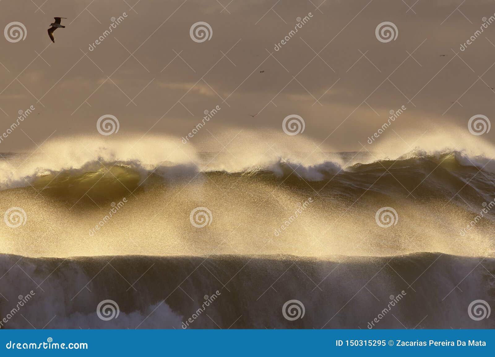 Backlit Stormy Wave Spray at Sunset Stock Image - Image of shorebreak ...