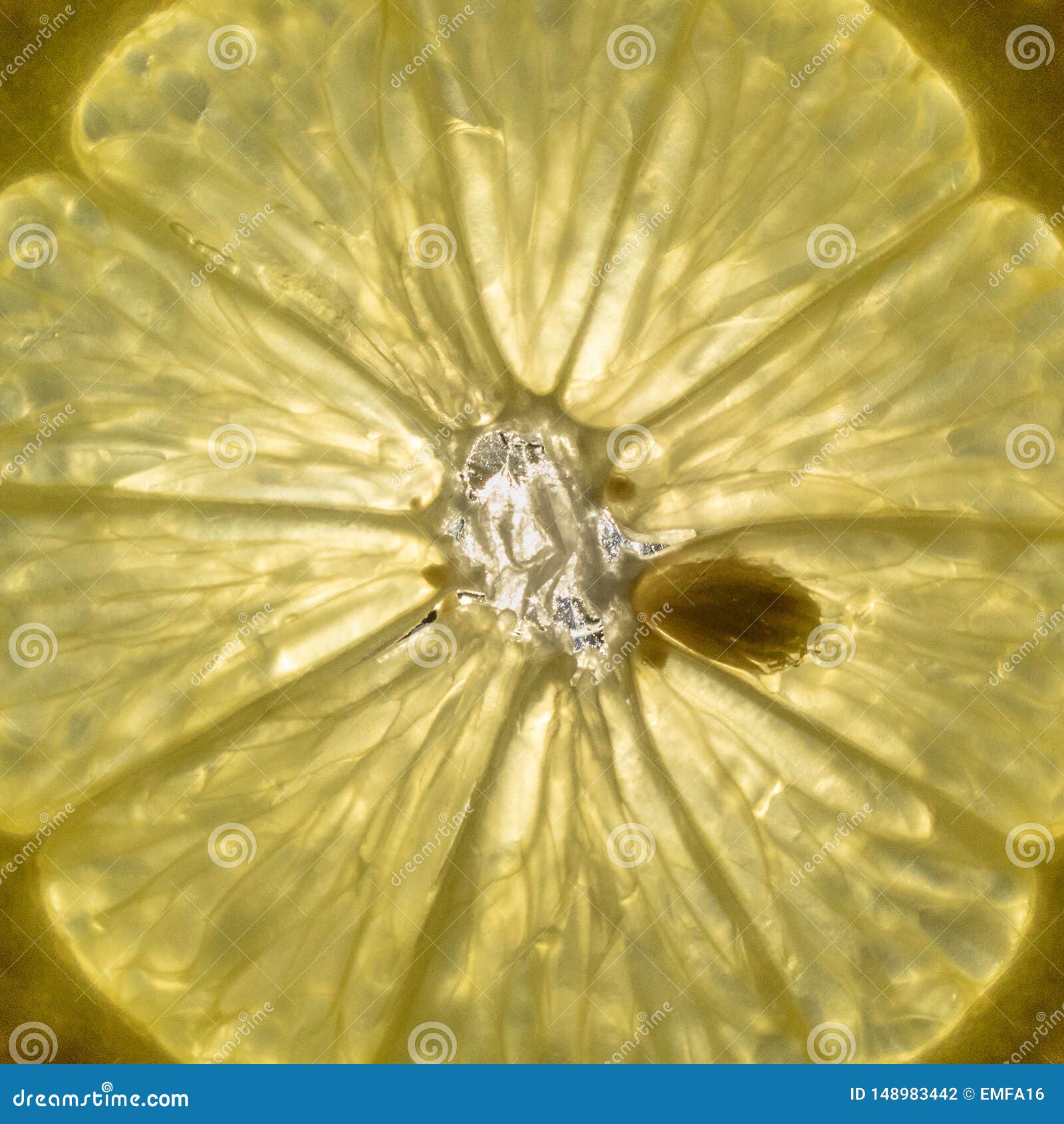Backlit Translucent Lemon Segment Pattern Stock Photo - Image of ...