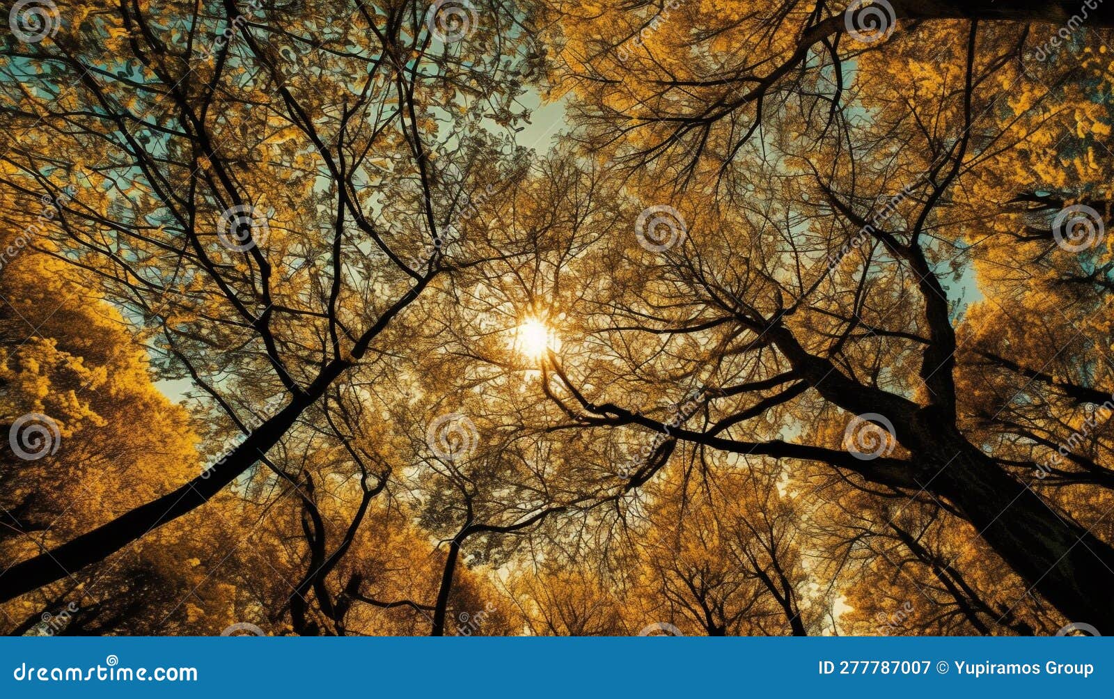 Backlit Tree Branch Glows in Autumn Sunset Generated by AI Stock ...