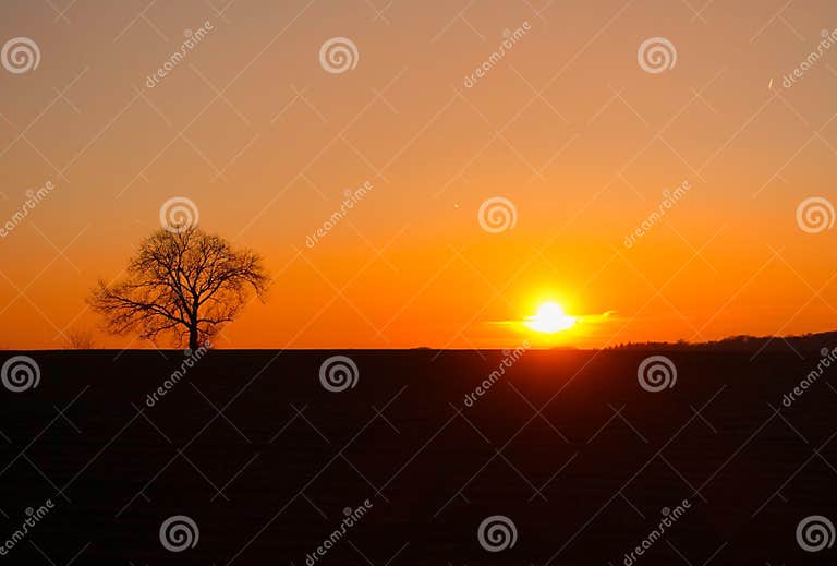 Backlit tree at sunset stock image. Image of clear, orange - 131299481