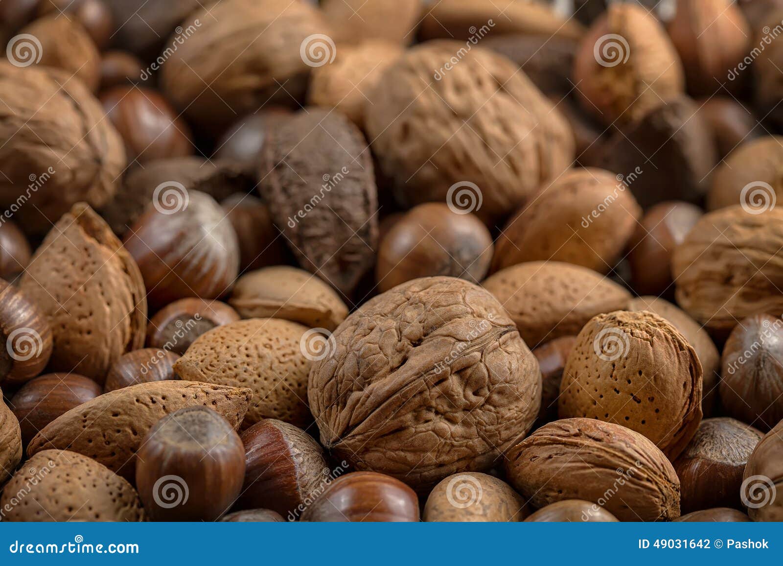 Backnut stock photo. Image of gourmet, calories, brown - 49031642