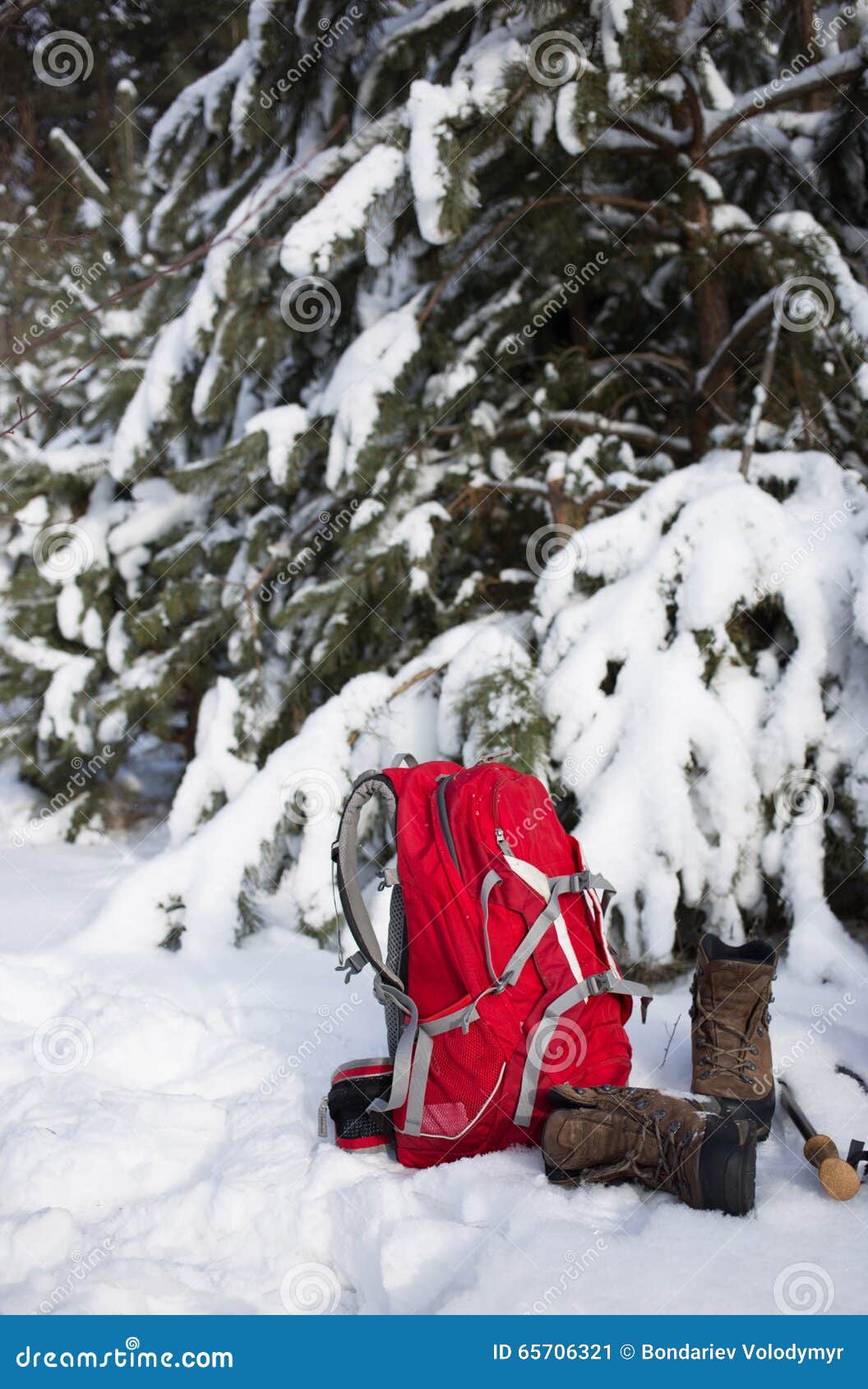 Backpack with Boots Under the Tree Stock Image - Image of holiday, legs ...
