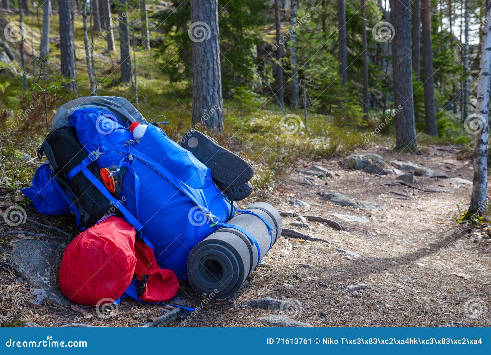 Backpack in the forest stock image. Image of environment - 71613761